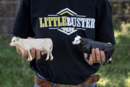 Apparel & Patches: Little Buster Toys